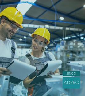 Programación – SINCO Academic