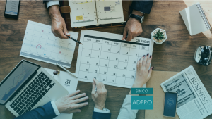 Programación – SINCO Academic